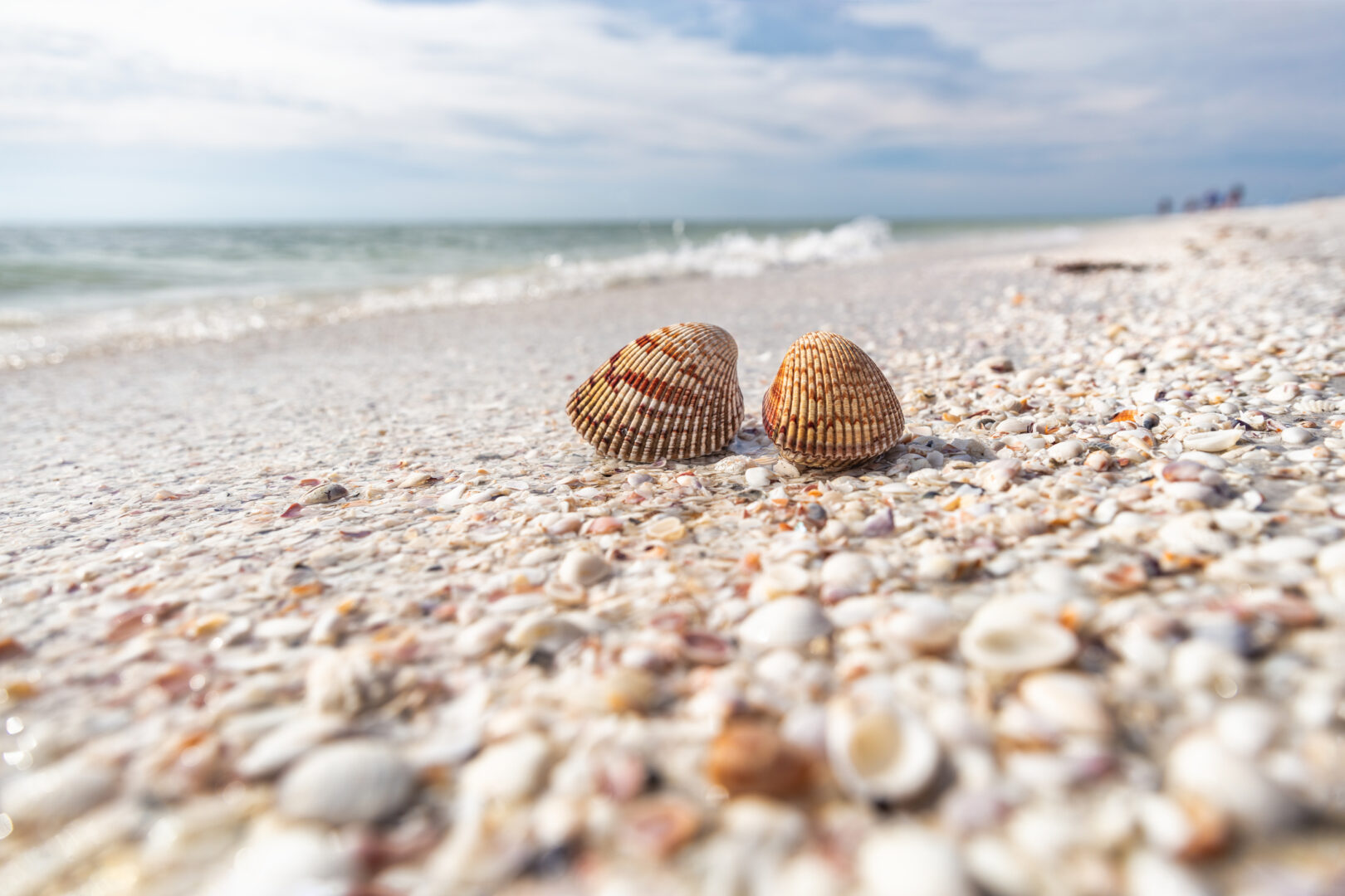 Sanibel Island: The Best Florida Beach for Shell Collecting | Beach