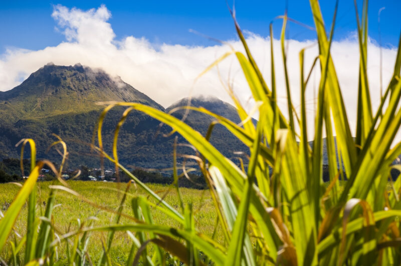 7 Incredible Things to Do in the Guadeloupe Islands | Beach
