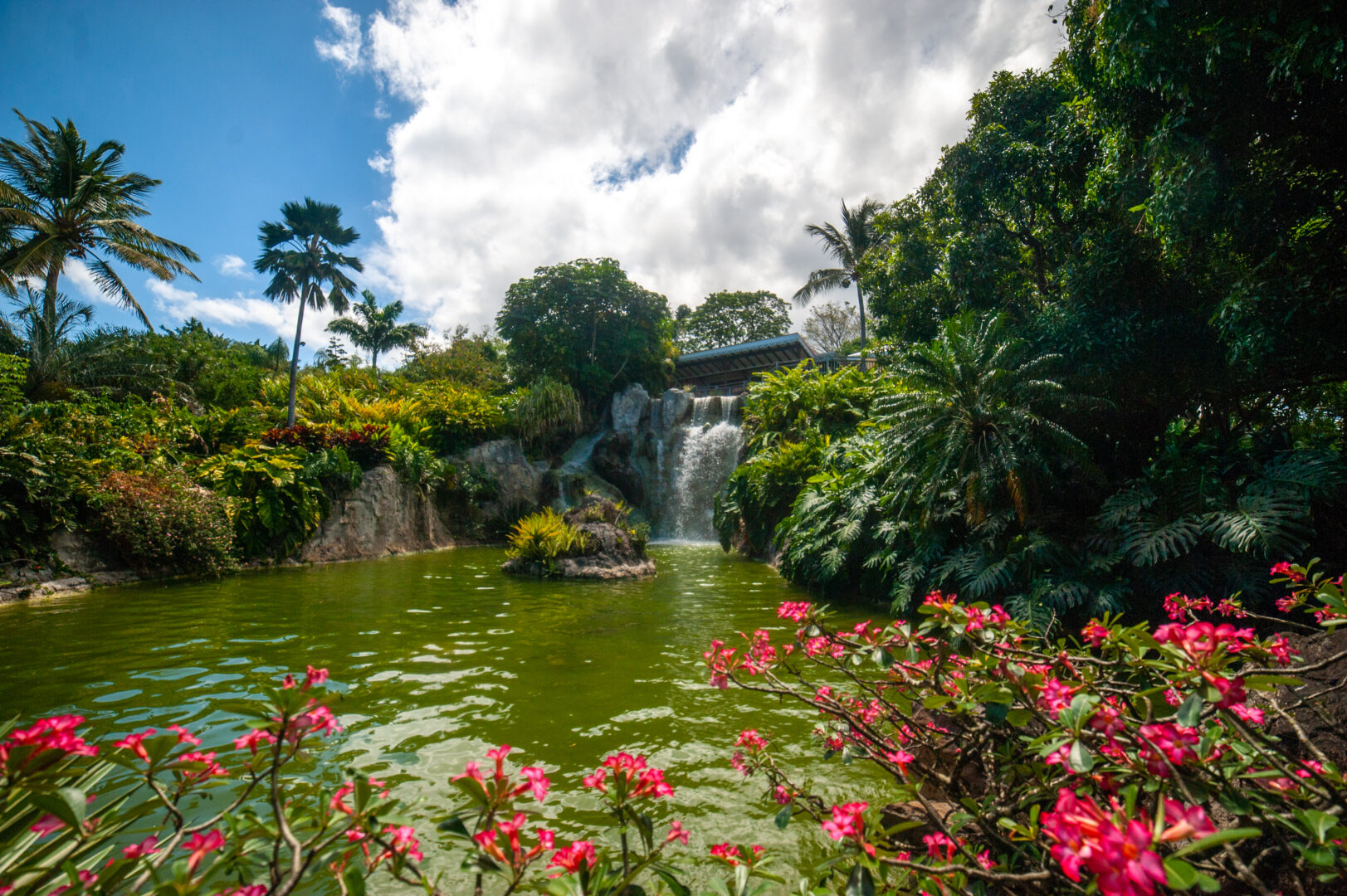 7 Incredible Things to Do in the Guadeloupe Islands | Beach