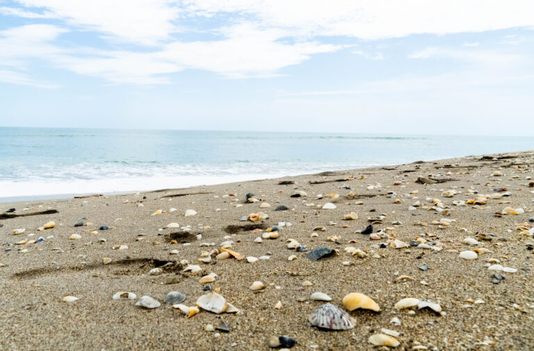 The Best Beaches on Florida's Treasure Coast | Beach