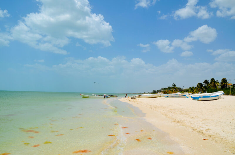 12 Best Beaches to Visit in December | Beach